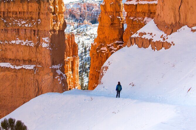 Bryce Canyon Full Day Private Tour and Hike - The Detailed Experience: What to Expect