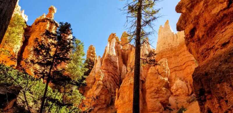 Bryce Canyon Hiking Challenge - The Sum Up