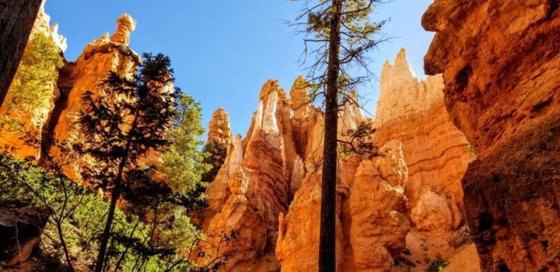 Bryce Canyon National Park Hiking Experience - FAQ about the Bryce Canyon Hiking Experience