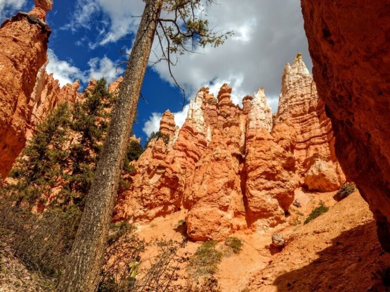 Bryce Canyon National Park Hiking Experience - Exploring Bryce Canyon: A Guided Hiking Tour