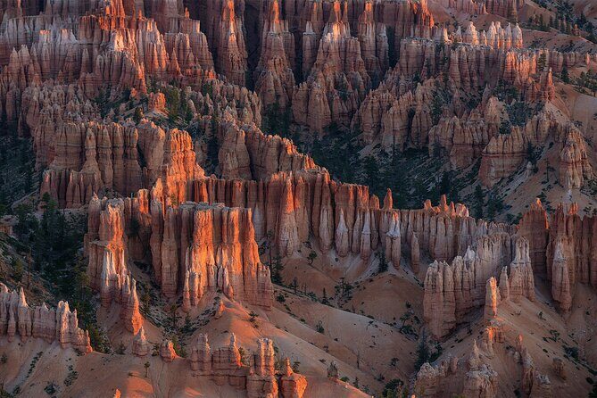 Bryce Canyon Photography Tours - Overview of What the Tours Offer