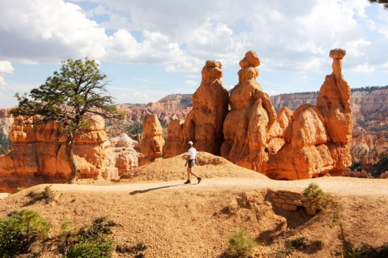 Bryce Canyon & Zion National Park: Private Group Tour - A Balanced Look at the Experience