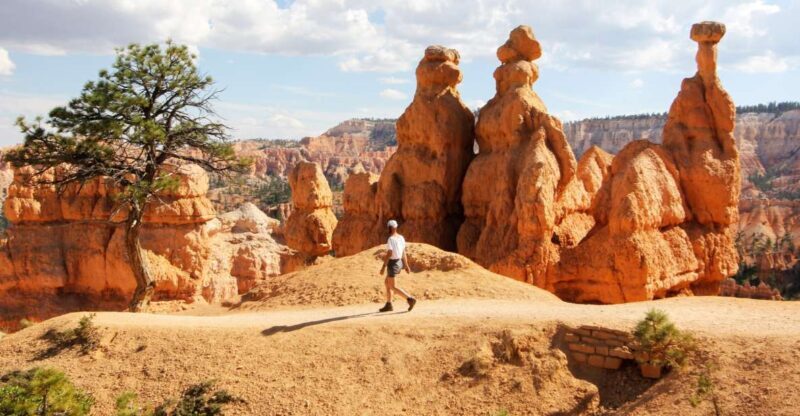 Bryce Canyon & Zion National Park: Private Group Tour - Who This Tour Is Perfect For