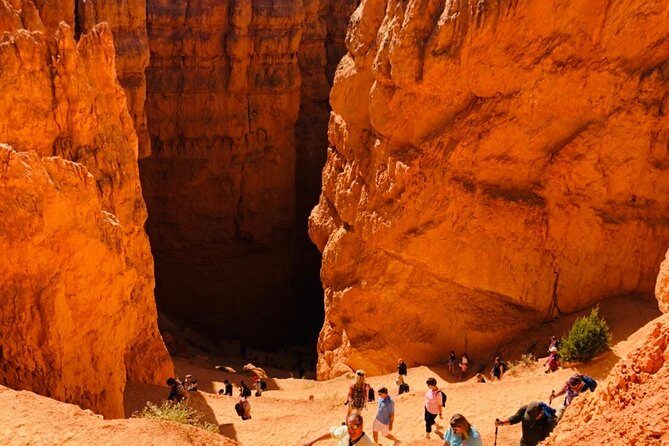 Bryce Canyon & Zion National Parks Day Tour From Las Vegas with Lunch - The Drawbacks: Limited Time and Cost