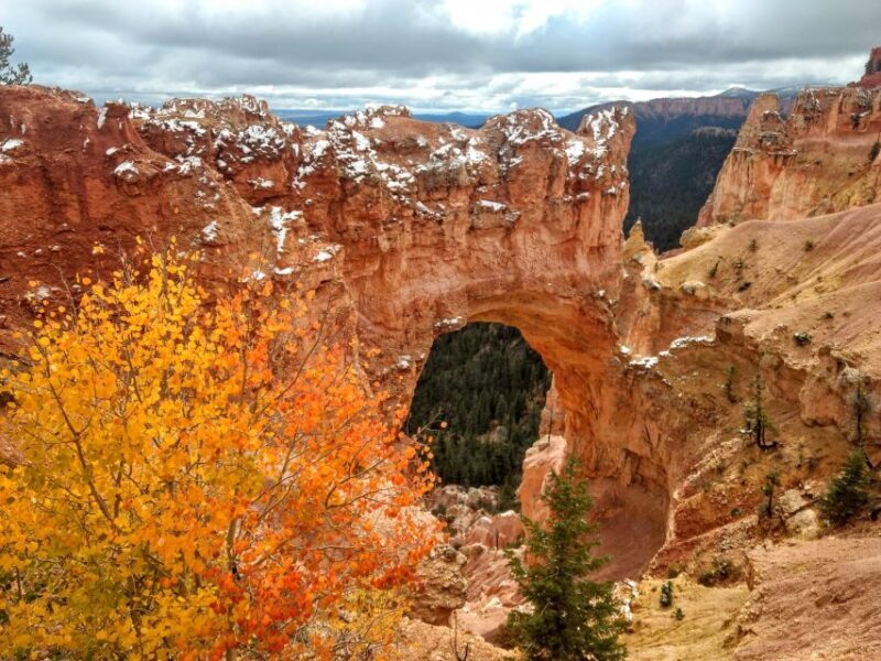 Bryce: Guided Sightseeing Tour of Bryce Canyon National Park - Bryce: Guided Sightseeing Tour of Bryce Canyon National Park