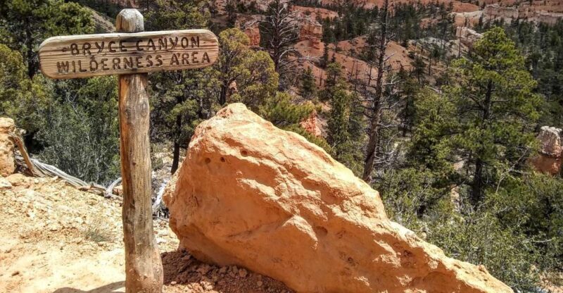 Bryce: Guided Sightseeing Tour of Bryce Canyon National Park - A More Detailed Look at the Bryce Canyon Guided Tour