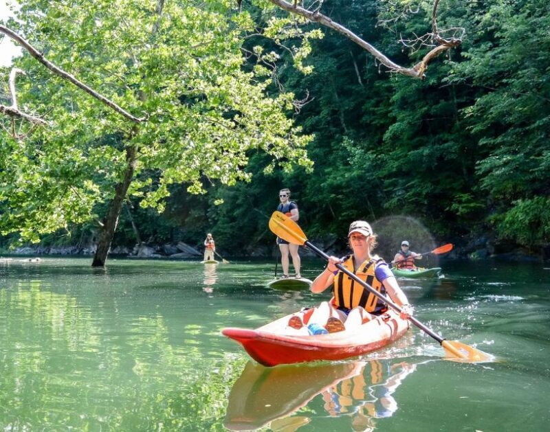 Bryson City: Fontana Lake Guided Kayak Tour - A Scenic Introduction to Fontana Lake