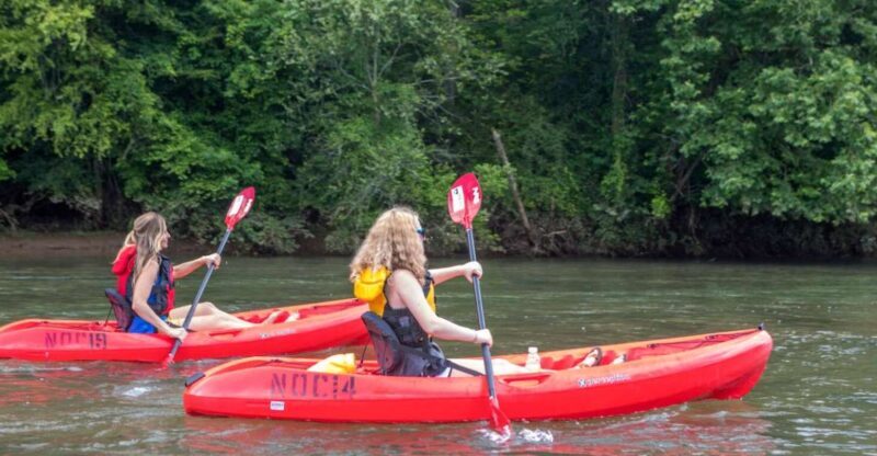 Bryson City: Fontana Lake Guided Kayak Tour - Price and Value