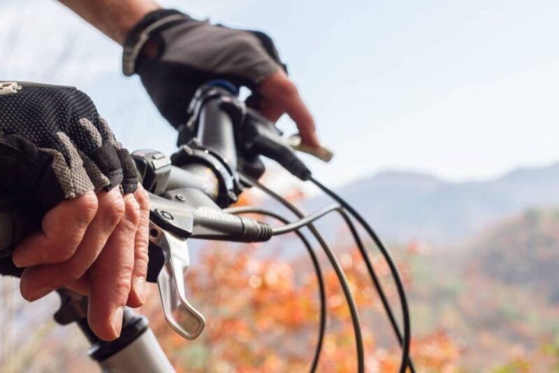 Bryson City: Tsali Recreation Area Guided Mountain Bike Tour - The Itinerary: What to Expect Step-by-Step