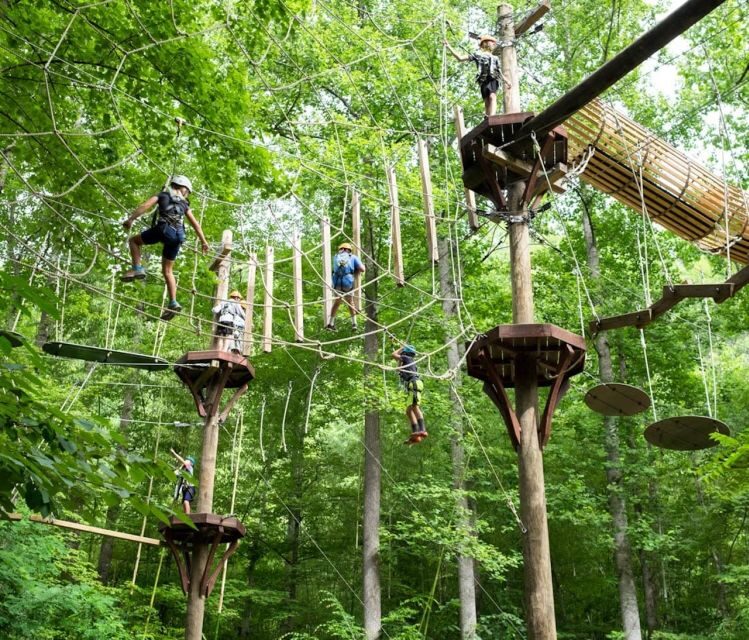Bryson City: Zip Line Adventure Park Pass with Gear - The Check-In and Ground School