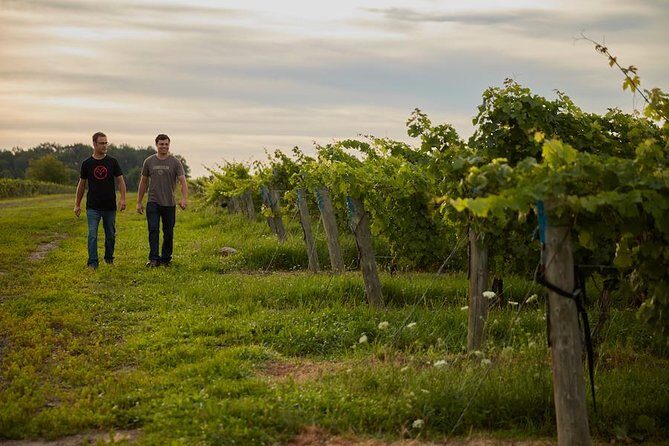 BTL Picnic Cheese and Charcuterie Board - Practical Details & Tips for Visitors