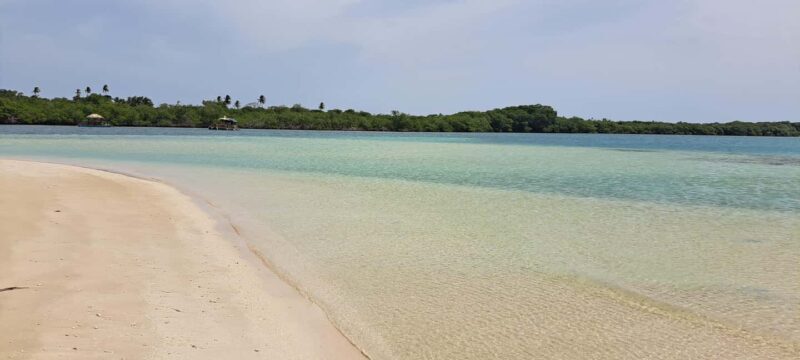 Buccoo Reef and Nylon Pool Adventure - Introduction: Who Is This Tour For?