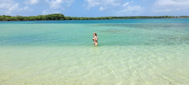 Buccoo Reef and Nylon Pool Adventure - Price and Value Analysis