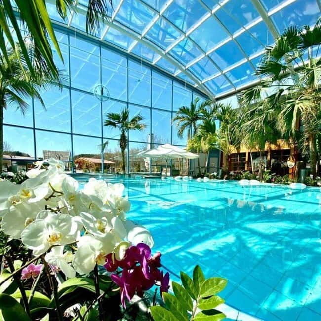 Bucharest: All Day Therme with Elysium Experience - Who Will Love This Experience?