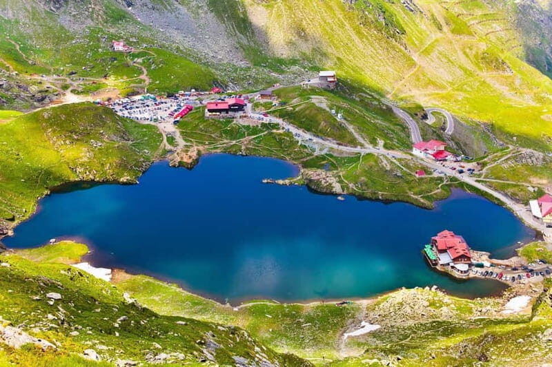 Bucharest: Bear Watching Tour and Top Gear Road Day Trip - Who Should Consider This Tour?