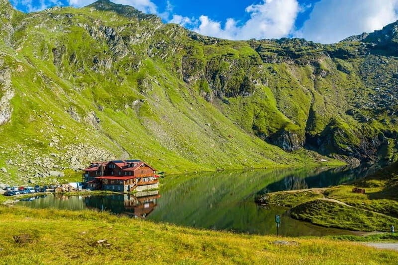Bucharest: Bears Safari on Top Gear Road Transfagarasan - Scenic Drives and Extra Activities