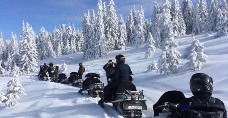 Bucharest: Carpathian Snowmobile Adventure Tour - An In-Depth Look at the Snowmobile Tour Experience