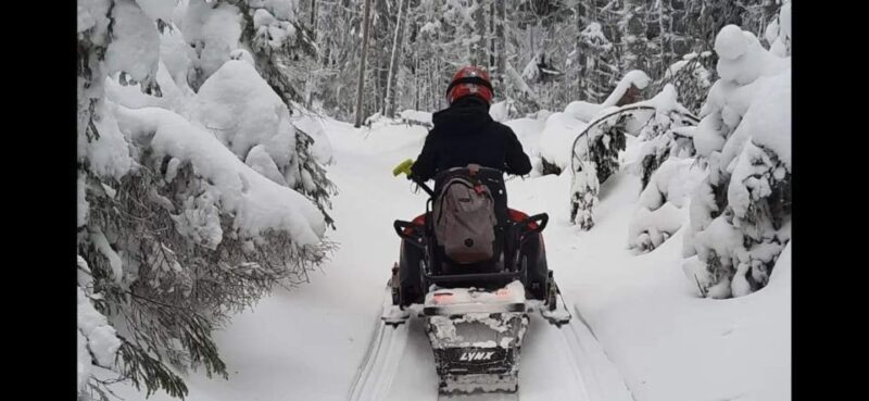 Bucharest: Carpathian Snowmobile Adventure Tour - Who is This Tour Best For?