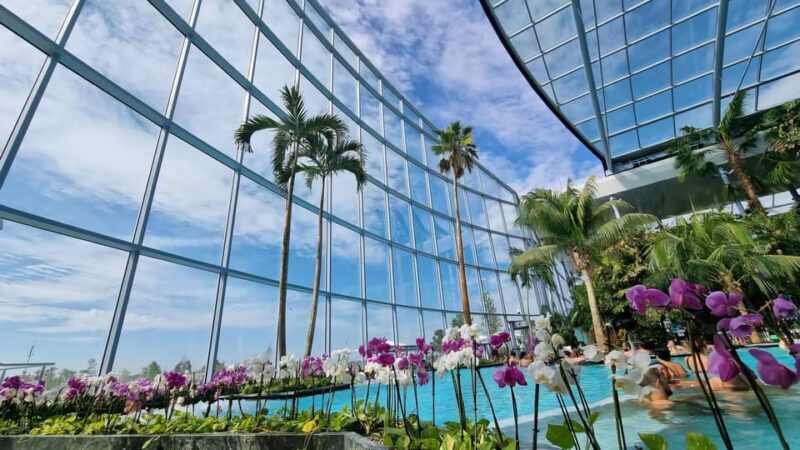 Bucharest: City Tour and Therme Spa Day Trip with Transfer - Exploring the Day: A Step-by-Step Breakdown