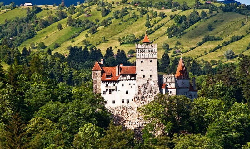 Bucharest: Day Trip to Bear Sanctuary, Bran Castle & Brasov - Libearty Bear Sanctuary in Zarnesti – Heartwarming Conservation Work
