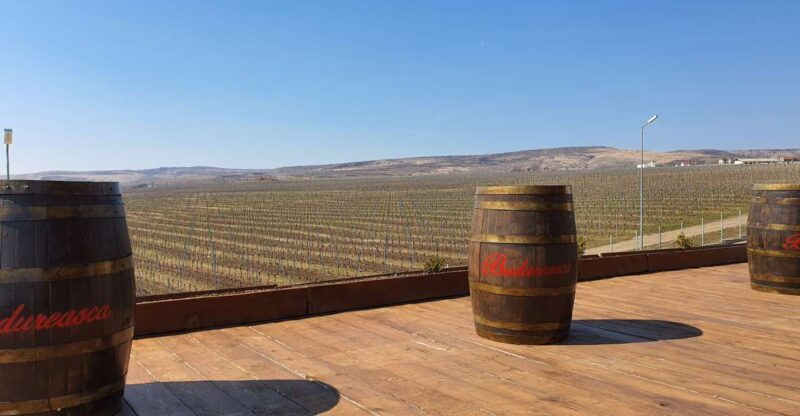 Bucharest: Dealu Mare Winery Private Trip with Wine Tasting - What Travelers Say: Authentic Feedback
