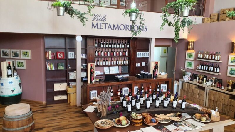 Bucharest: Dealu Mare Winery Private Trip with Wine Tasting - The Value Proposition: Is It Worth It?