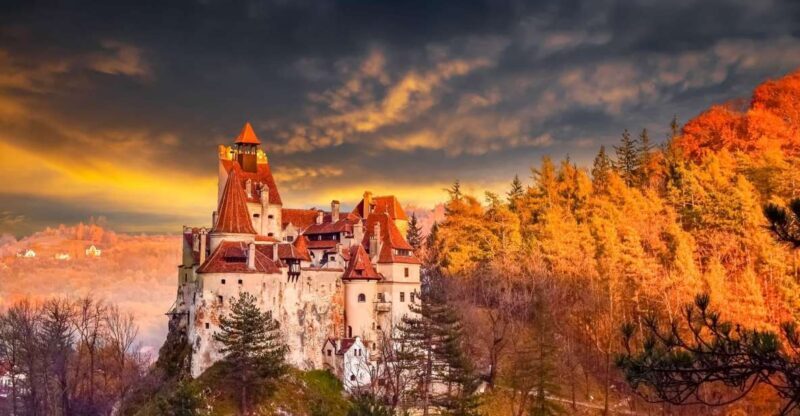 Bucharest: Draculas Castle, Peles Castle & Brasov Day Trip - Practical Details and Tips