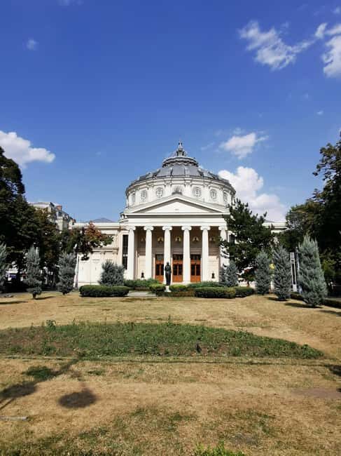 Bucharest: Hop-on Hop-off minibus & Village Museum visit - Key Points