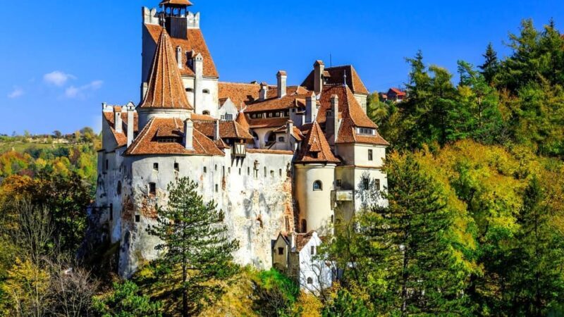 Bucharest: Pele Castle, Dracula Castle, and Braov Day Trip - Key Points