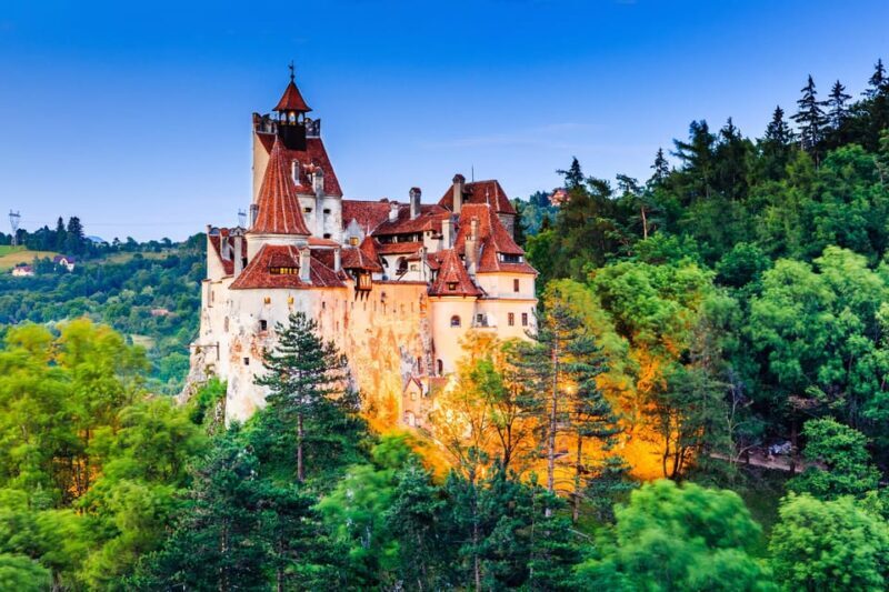 Bucharest: Peles Castle, Bran Castle, & Brasov Full-Day Tour - Authentic Traveler Feedback and Highlights
