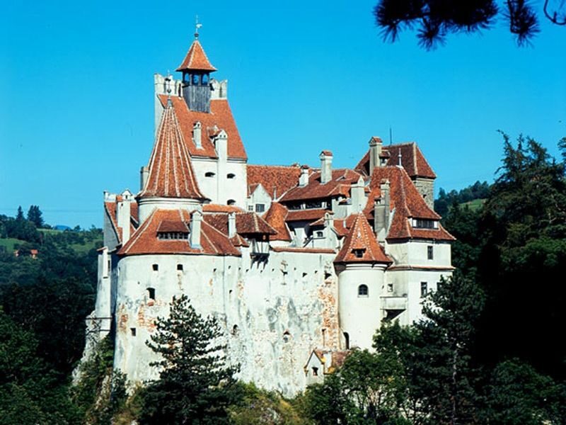 Bucharest: Peles Castle, Dracula's Castle and Brasov Tour - Discover Romania’s Architectural Gems and Dark Legends