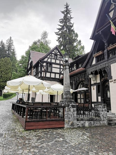 Bucharest: Peles Castle Half-Day Private Tour - The Experience: Pros and Cons