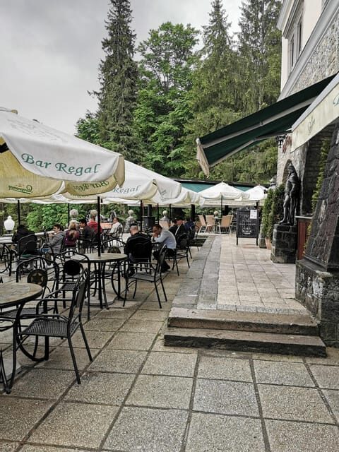 Bucharest: Peles Castle Half-Day Private Tour - Who Should Take This Tour?