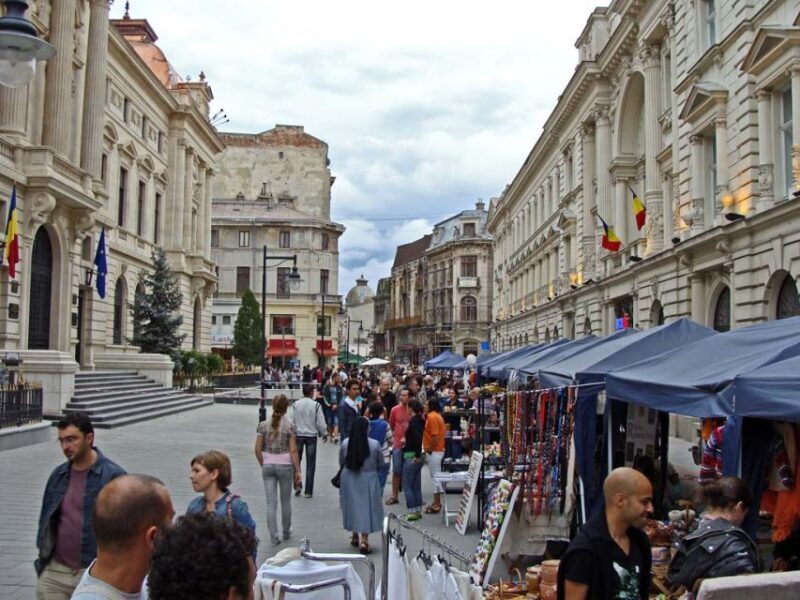Bucharest: Private City Tour Guided Experience - The Practicalities