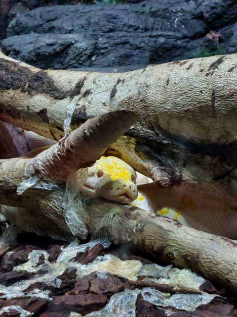 Bucharest: Reptiland Bucharest Entry Ticket - The Experience from Reviews