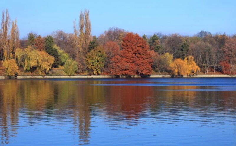 Bucharest Sightseeing Tour - The Sum Up: The Best Bang for Your Bucharest Buck