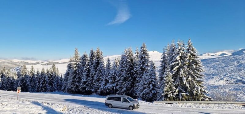 Bucharest: Snowmobile Tour with Pele Castle and Cable Car - Final Thoughts
