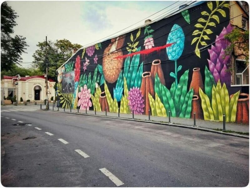 Bucharest : Street Art Walking Tour With A Guide - Key Points