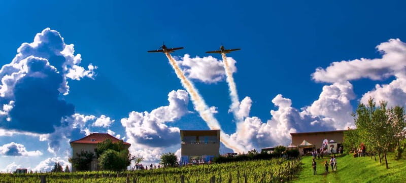 Bucharest: Taste the Magic of Wine in Romanias Tuscany - Key Points