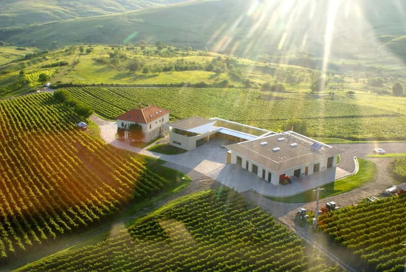 Bucharest: Taste the Magic of Wine in Romanias Tuscany - Budureasca Winery: Tradition with a Modern Touch