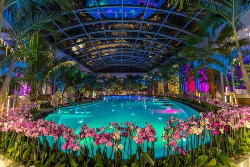 Bucharest: Therme Bucuresti Entry Ticket with Transfer - What’s Included and What’s Not