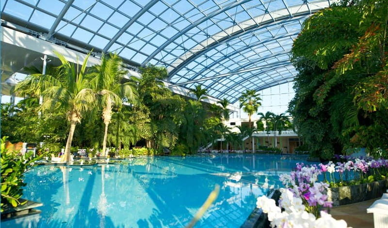 Bucharest: Therme Bucureti Entry Ticket with Transportation - Who Is This Tour Best For?
