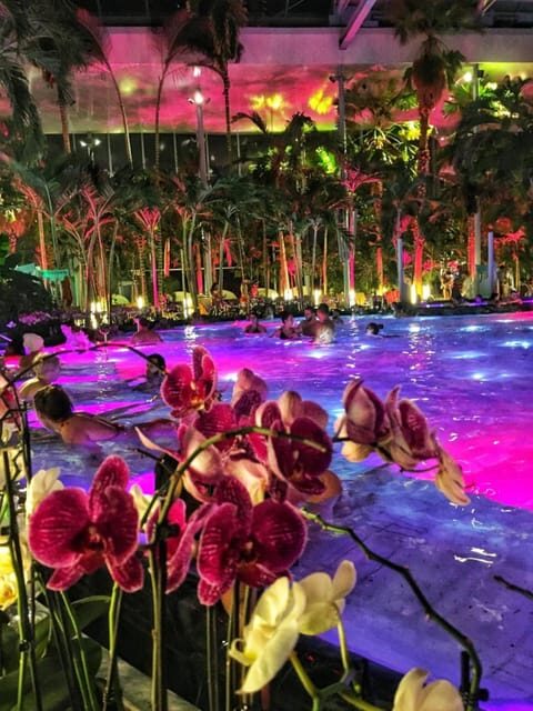 Bucharest: Therme Spa Night Experience with Transfer - The Experience from a Traveler’s Perspective