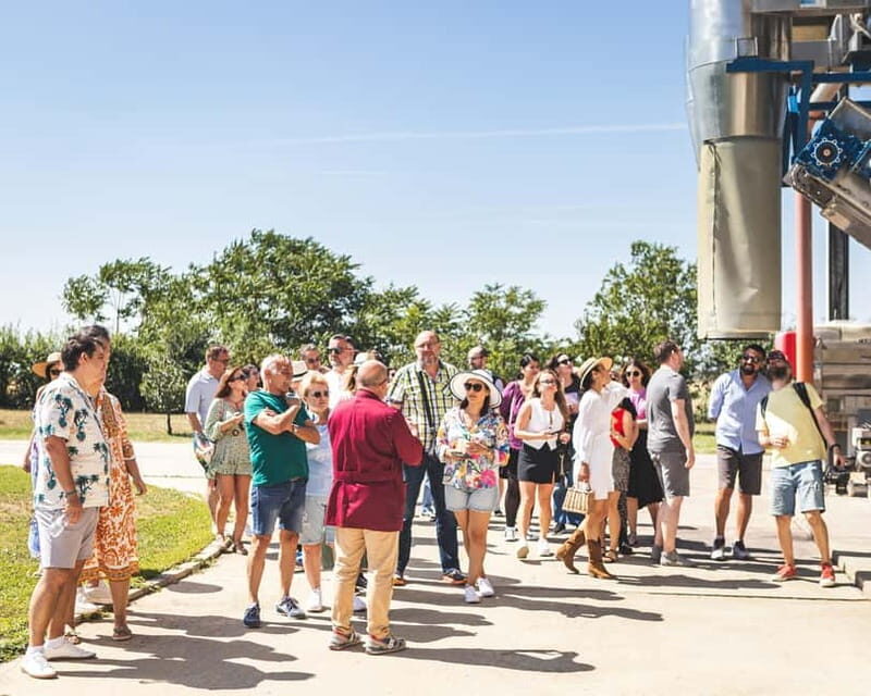 Bucharest: Tour The Wine Road, 2 Boutique Wineries in 1 Day - Practical Considerations
