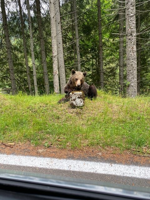 Bucharest: Transfagarasan Road, Famous & Spectacular - FAQ