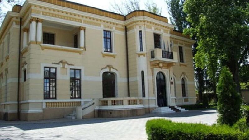 Bucharest: Village Museum, Ceauescu Mansion & Parliament - The Transport & Group Experience