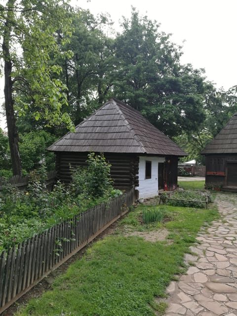 Bucharest: Village Museum Guided Tour - What Makes the Guided Tour Special