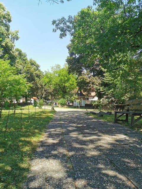 Bucharest: Village Museum Guided Tour - Who Will Enjoy This Tour?