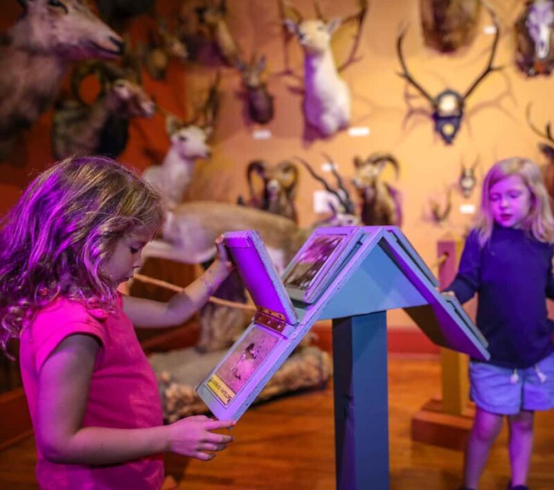 Buckhorn Saloon & Museum / Texas Ranger Museum Entry Ticket - Exploring the Attractions in Depth