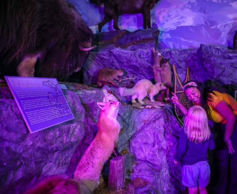 Buckhorn Saloon & Museum / Texas Ranger Museum Entry Ticket - Who Should Visit?